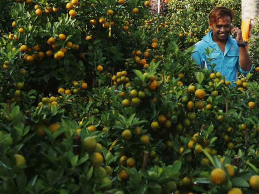 30% rise in prices of oranges from China - TODAY
