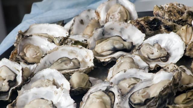 售卖未经食品局检查进口生蚝 Goodvibes International罚款6000元 - 8world