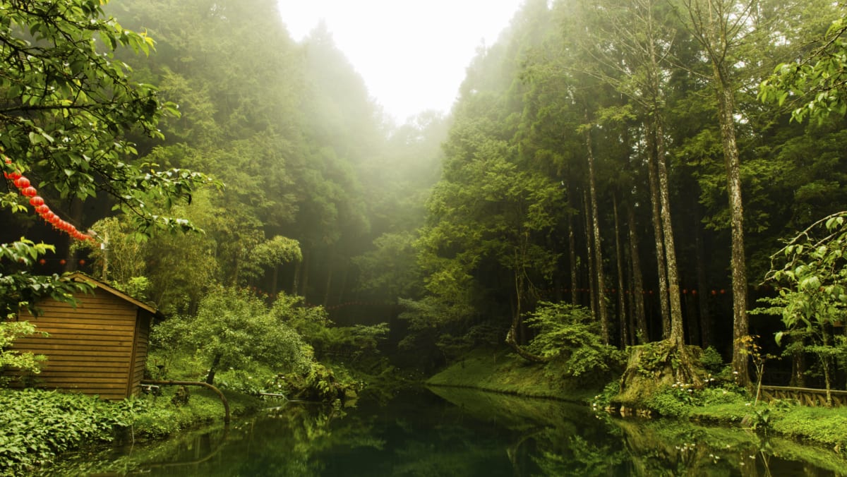 Top 3 places to go for fresh air - TODAY