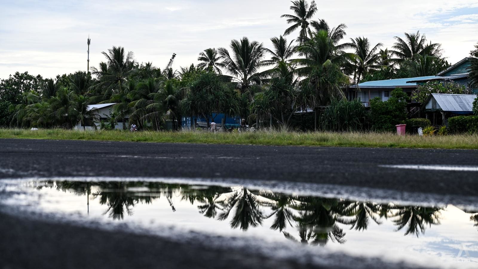 Fight or Flee: Tuvalu’s residents prepare for mass displacement as ...