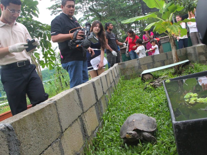 Wildlife sanctuary for rescued animals opens - TODAY
