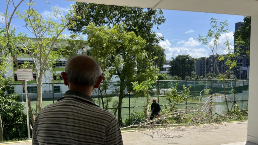 'Heartbreaking': Residents lament chopping down of 'unauthorised' trees ...