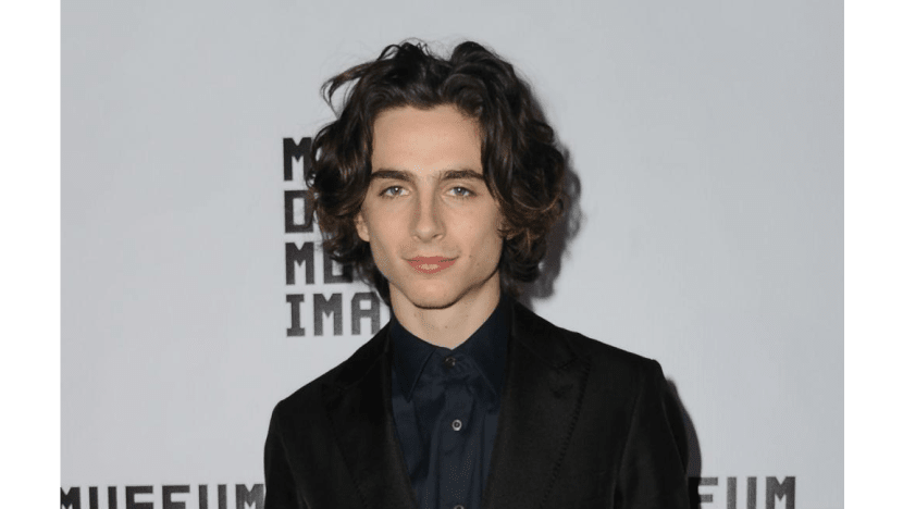 Timothée Chalamet auditioned for Spider-Man: Homecoming - 8days
