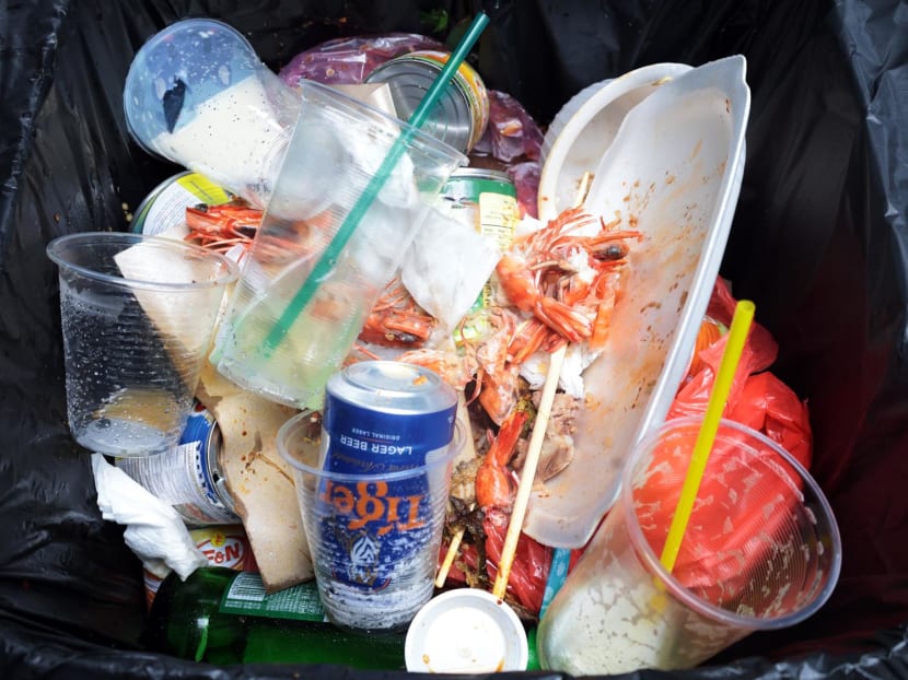 The Big Read: Reducing single-use plastics and disposables — are we ...