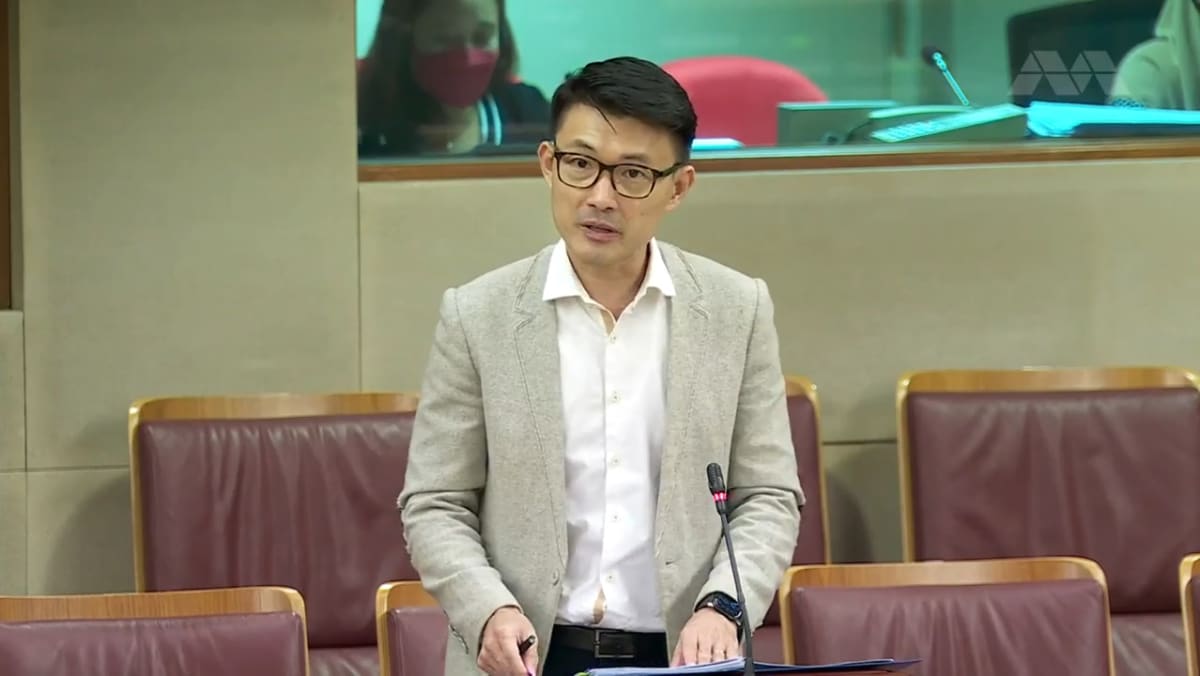 Baey Yam Keng on Climate-Friendly Households Programme - CNA