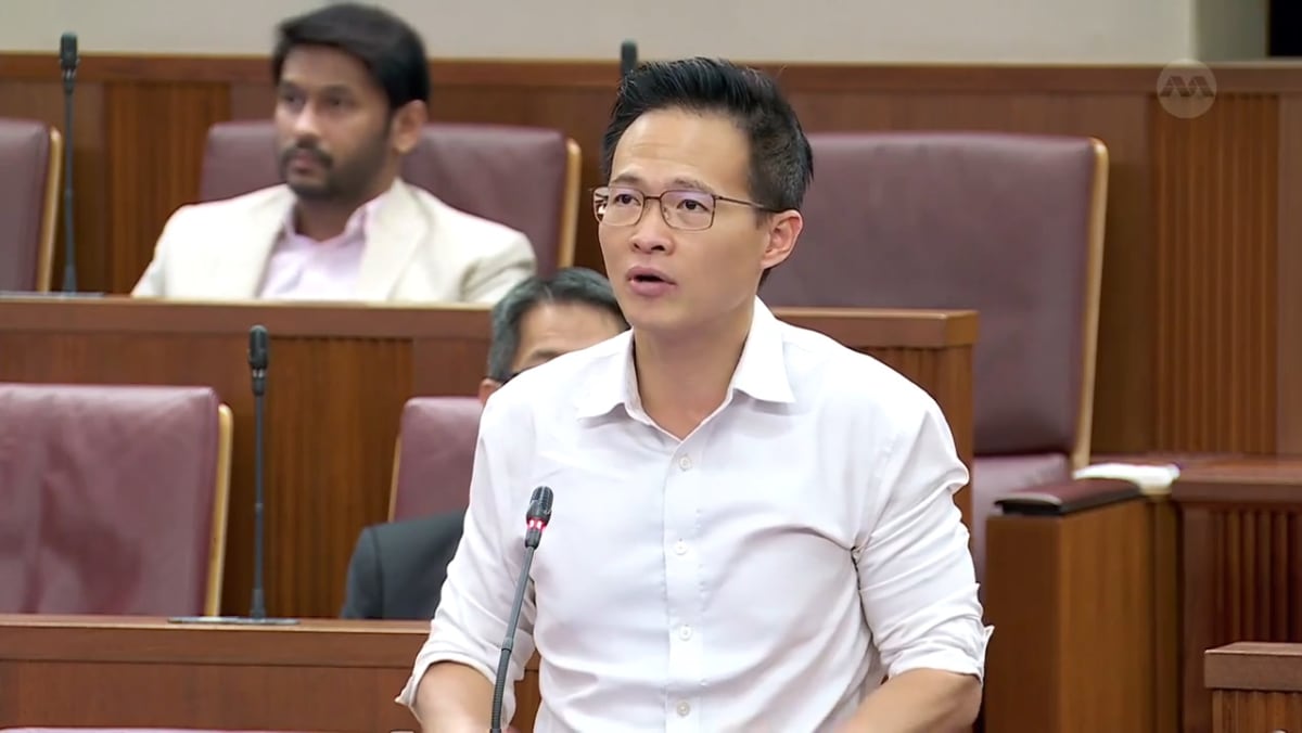 Committee of Supply 2023 debate, Day 3: Desmond Choo on strengthening ...