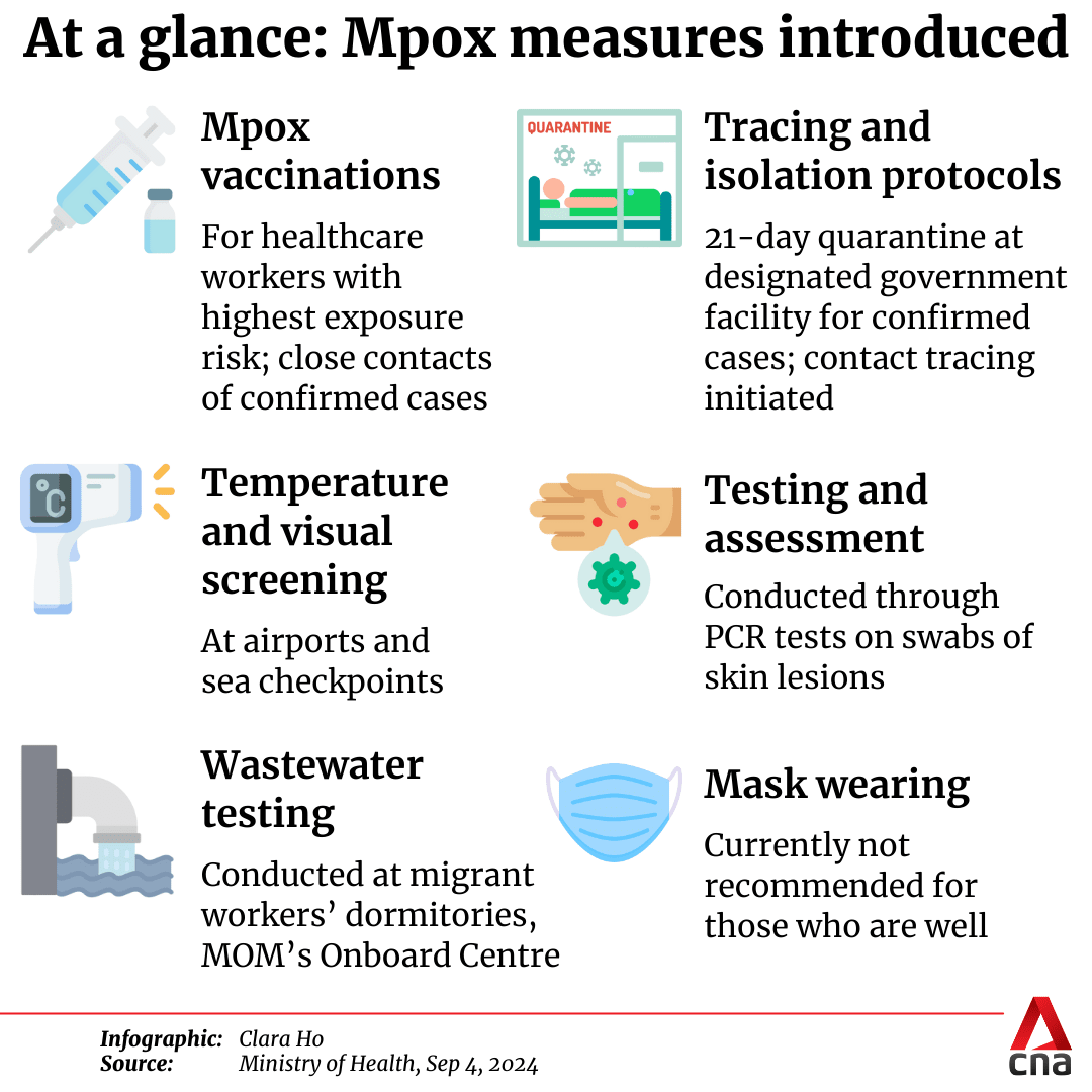 Mpox a 'troublesome' but manageable virus; no need for masks yet: Ong ...