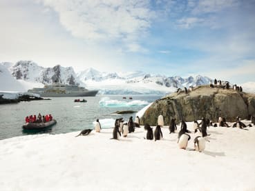 Antarctica latest news & coverage - CNA Luxury