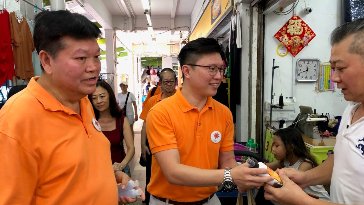 National Solidarity Party to contest 12 seats in the next GE, prepared ...