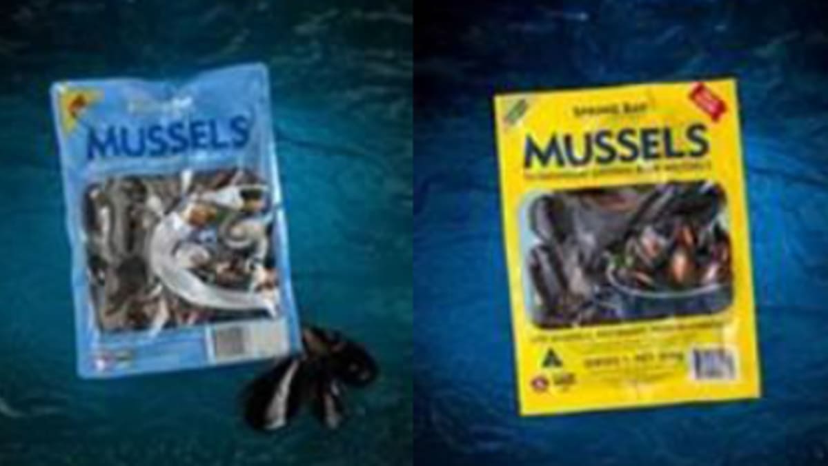 Contaminated Spring Bay Australian mussels recalled: AVA - TODAY