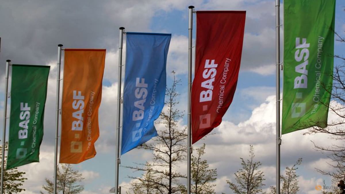 BASF picks Canada to expand supplies for booming EV battery market - CNA