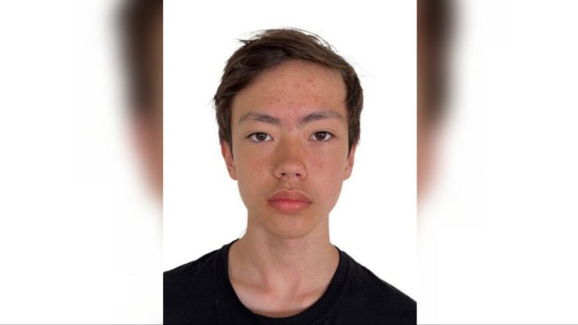 Police appeal for information on 14-year-old boy missing since Aug 18 - CNA