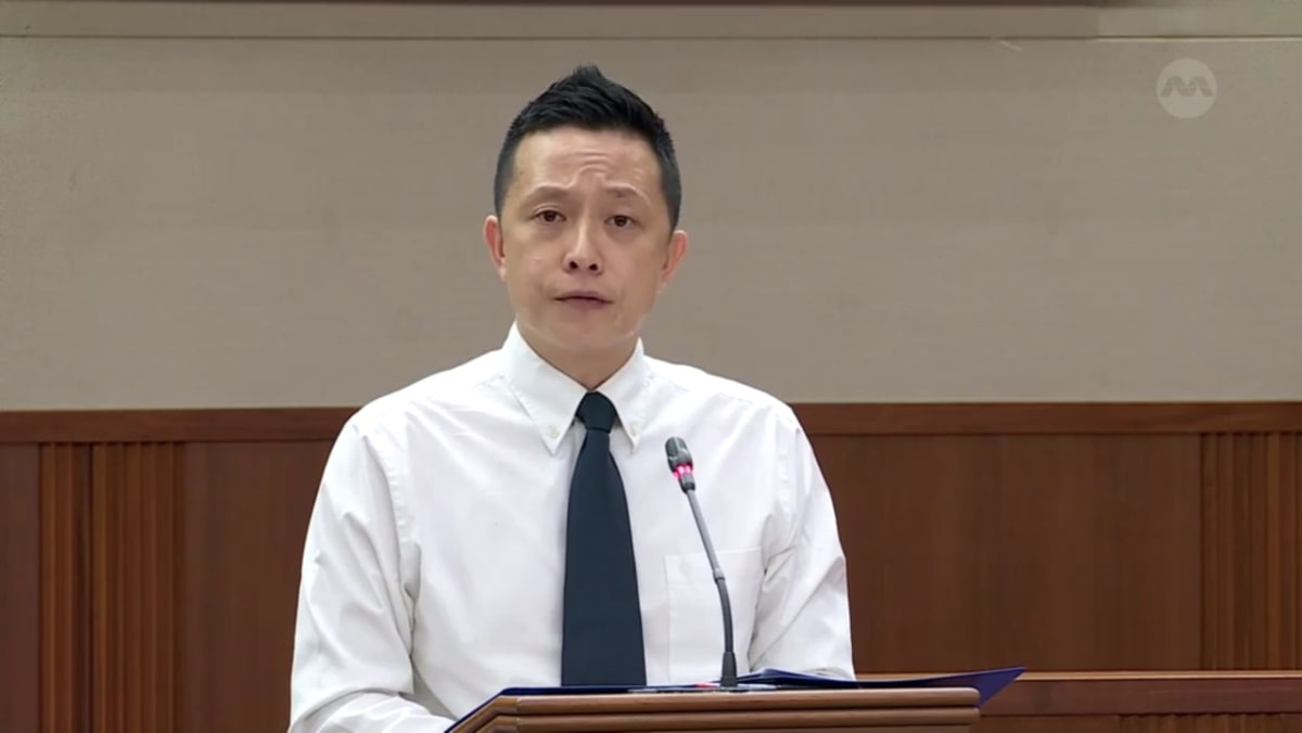 Yip Hon Weng on Child Development Co-Savings (Amendment) Bill - CNA