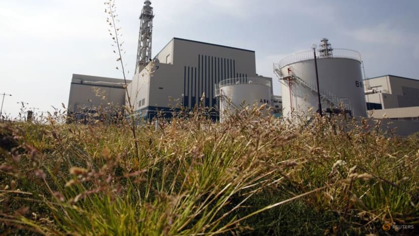 Japan lifts operational ban on world's biggest nuclear plant - CNA