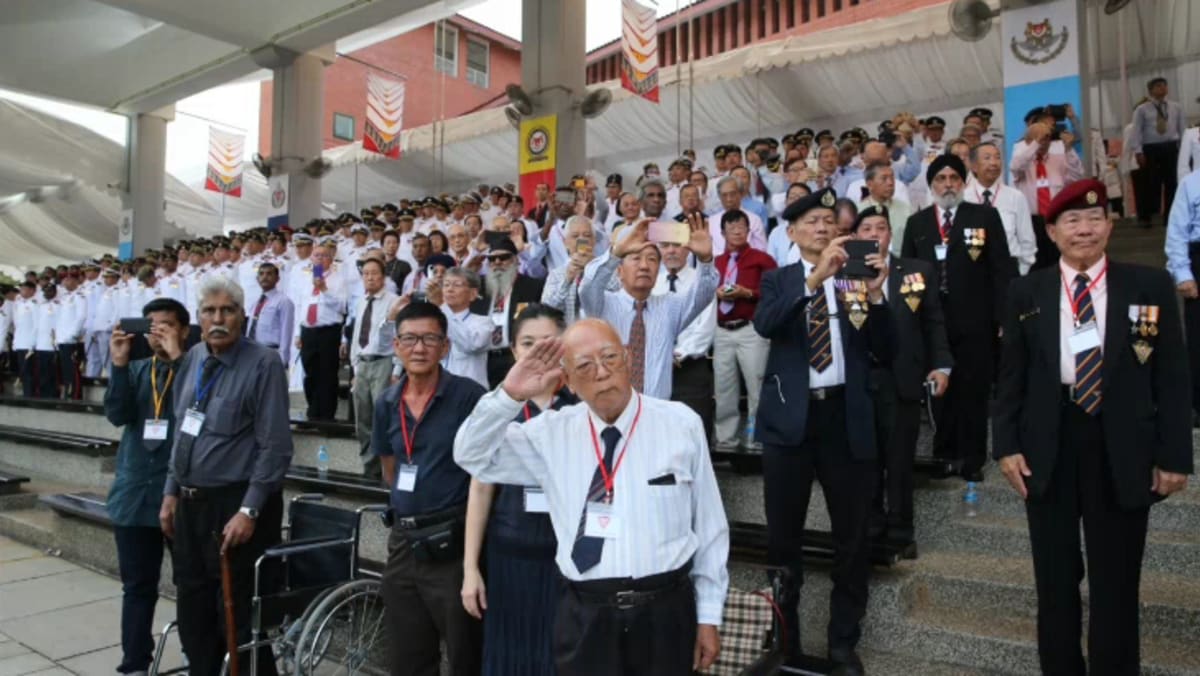 Record 500 pioneers attend SAF50 parade - TODAY