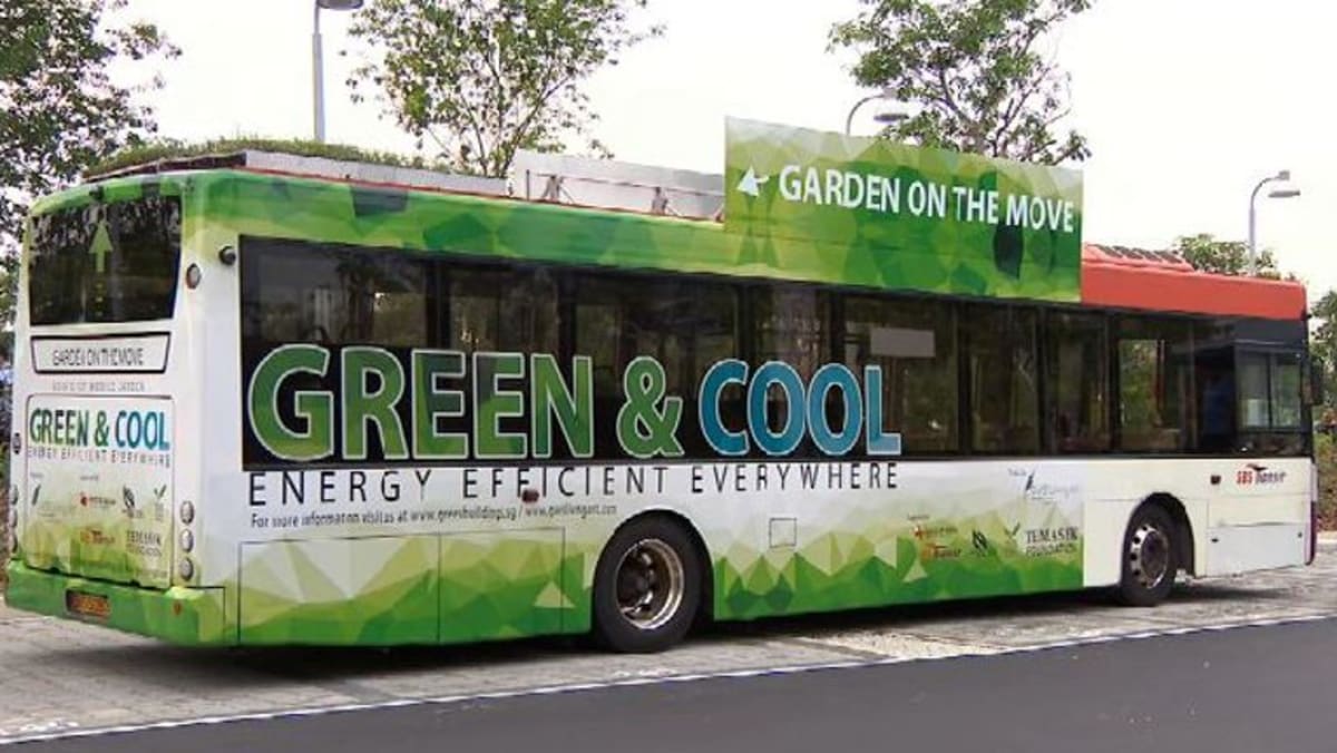 Bas awam berbumbung hijau pertama S'pura mulakan khidmat - BERITA Mediacorp