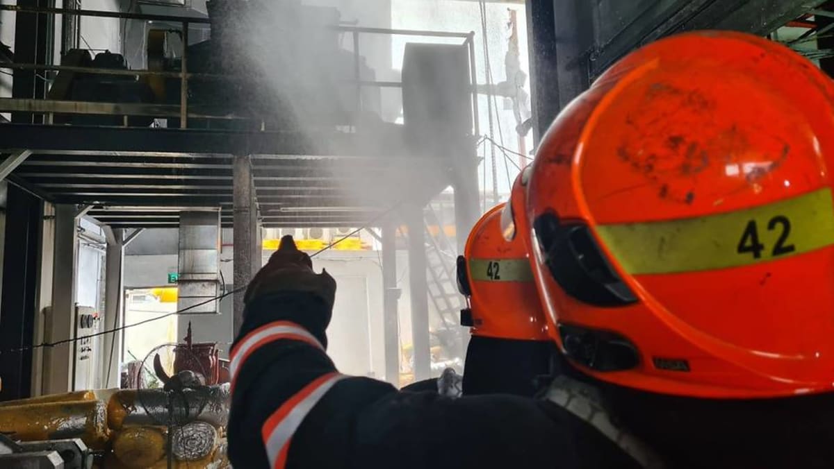 Commentary: Spate of workplace deaths and what needs addressing in ...