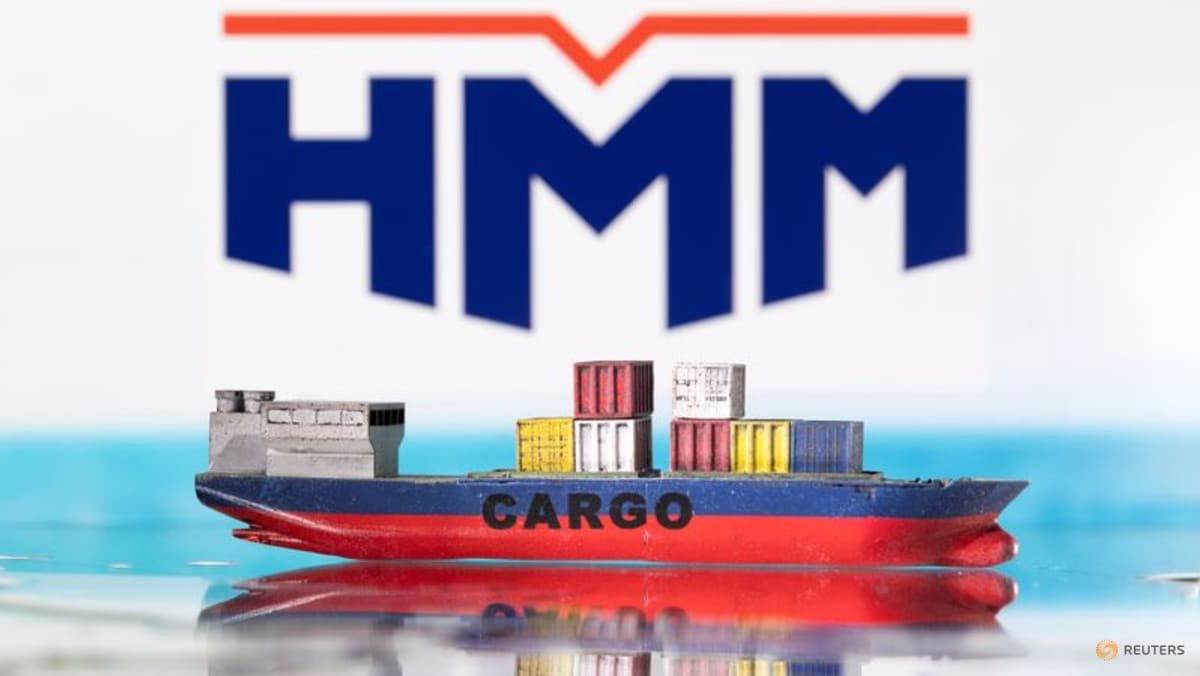 South Korea shipper HMM draws two bidders in sale of majority stake - TODAY