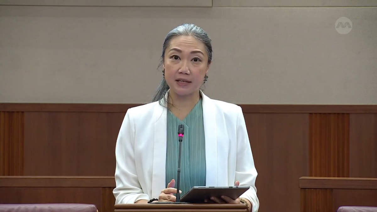 Committee of Supply 2024 debate, Day 6: Carrie Tan on enlivening ...
