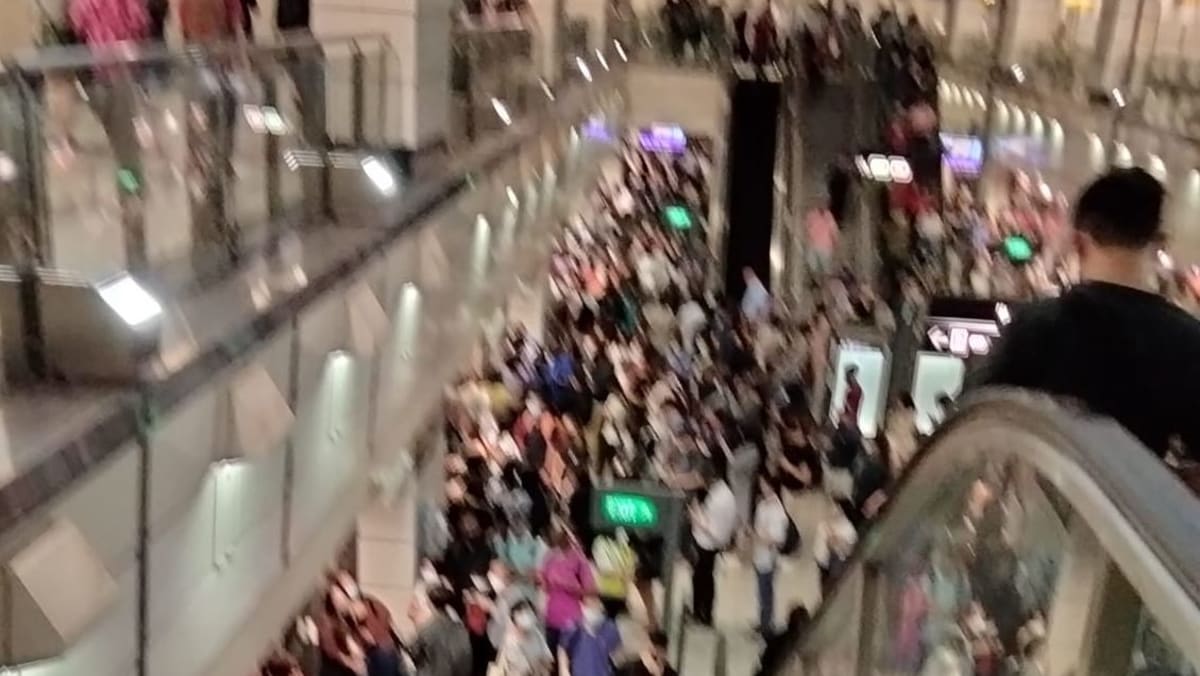 Commuters face delays after signalling fault on North-East Line - TODAY