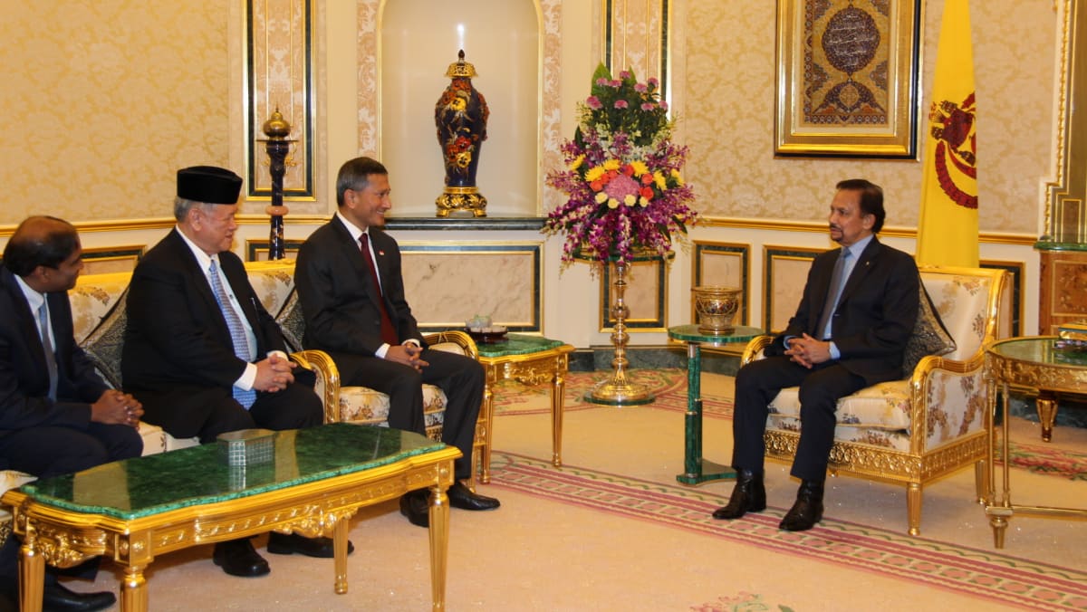 Dr Balakrishnan makes first introductory visit as Foreign Minister - TODAY