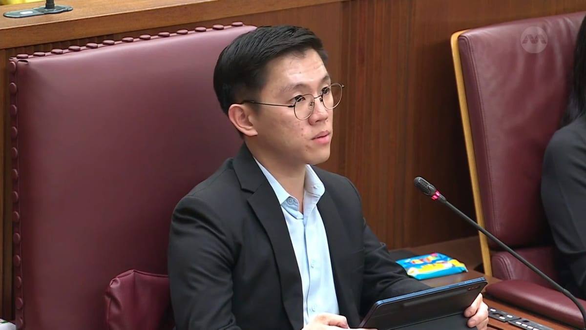 Budget 2024 debate: Ong Hua Han on inclusiveness and social ...