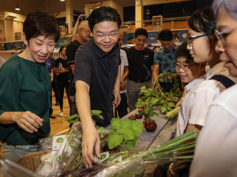 Behind-the-scenes tours, night walks: Hundreds of activities launched to rally S'pore residents ...
