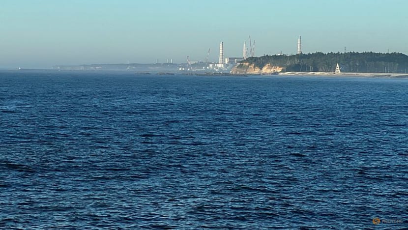 ‘We can’t continue to worry’: Japanese surfers ride waves near ...