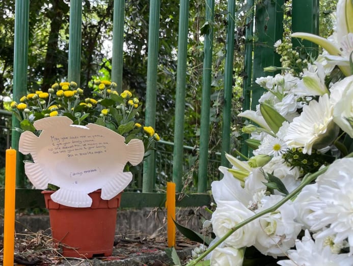 Deaths of brothers in Upper Bukit Timah trigger outpouring of grief and ...