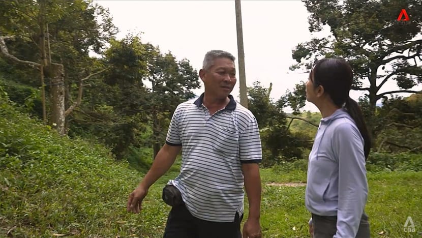 New thorns in town? Here’s why Tupai King, other new durian varieties ...