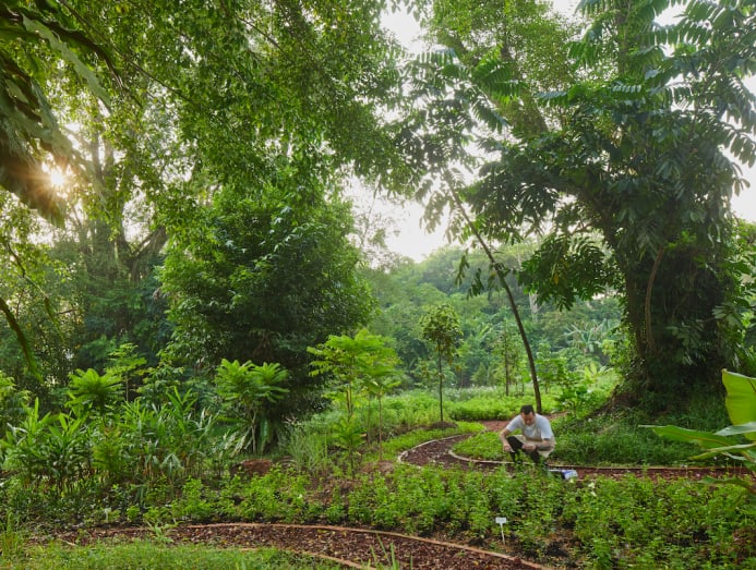 New Restaurant Air in Dempsey by celebrity chefs - CNA Lifestyle