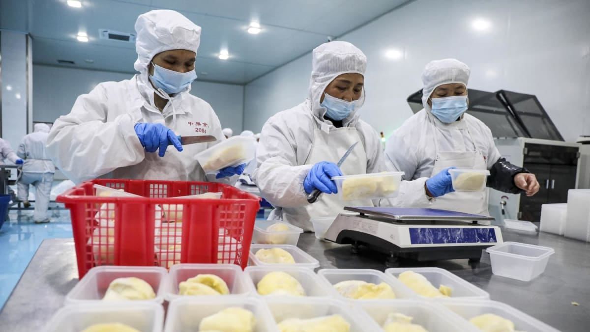 Chinas Durian Demand Is A Godsend For Philippines Trade But For Other Asian Countries ‘durian
