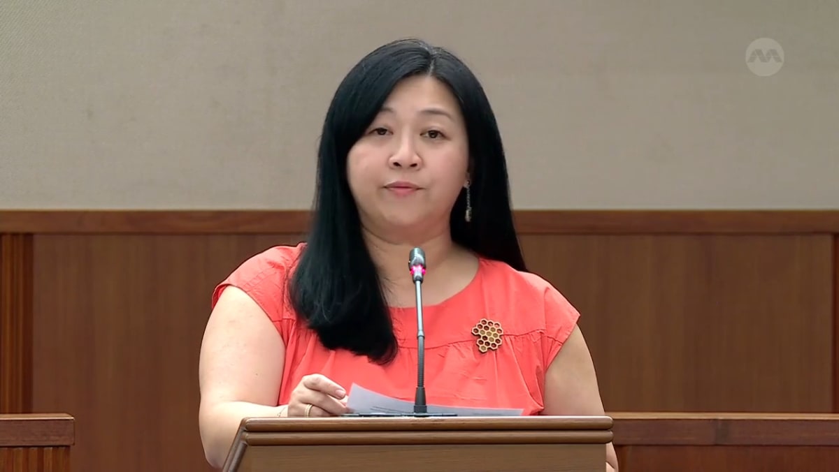 Committee of Supply 2024 debate, Day 5: Yeo Wan Ling on use of PMAs to earn a living - CNA
