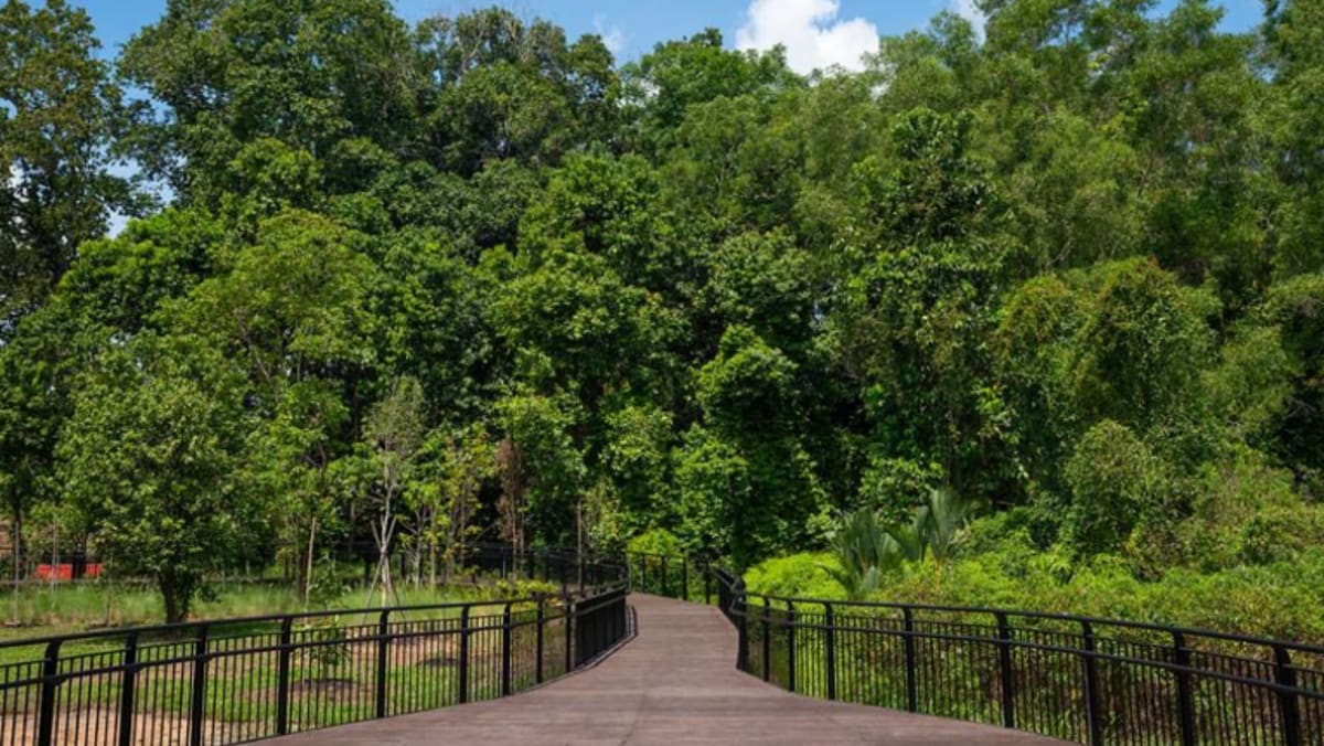 S'pura akan tanam lagi 170,000 pokok di estet perindustrian sepanjang ...