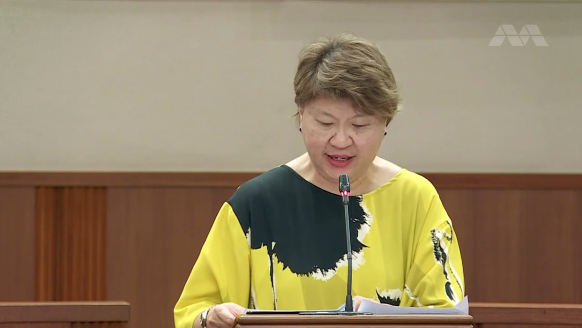 Janet Ang on Carbon Pricing (Amendment) Bill - CNA