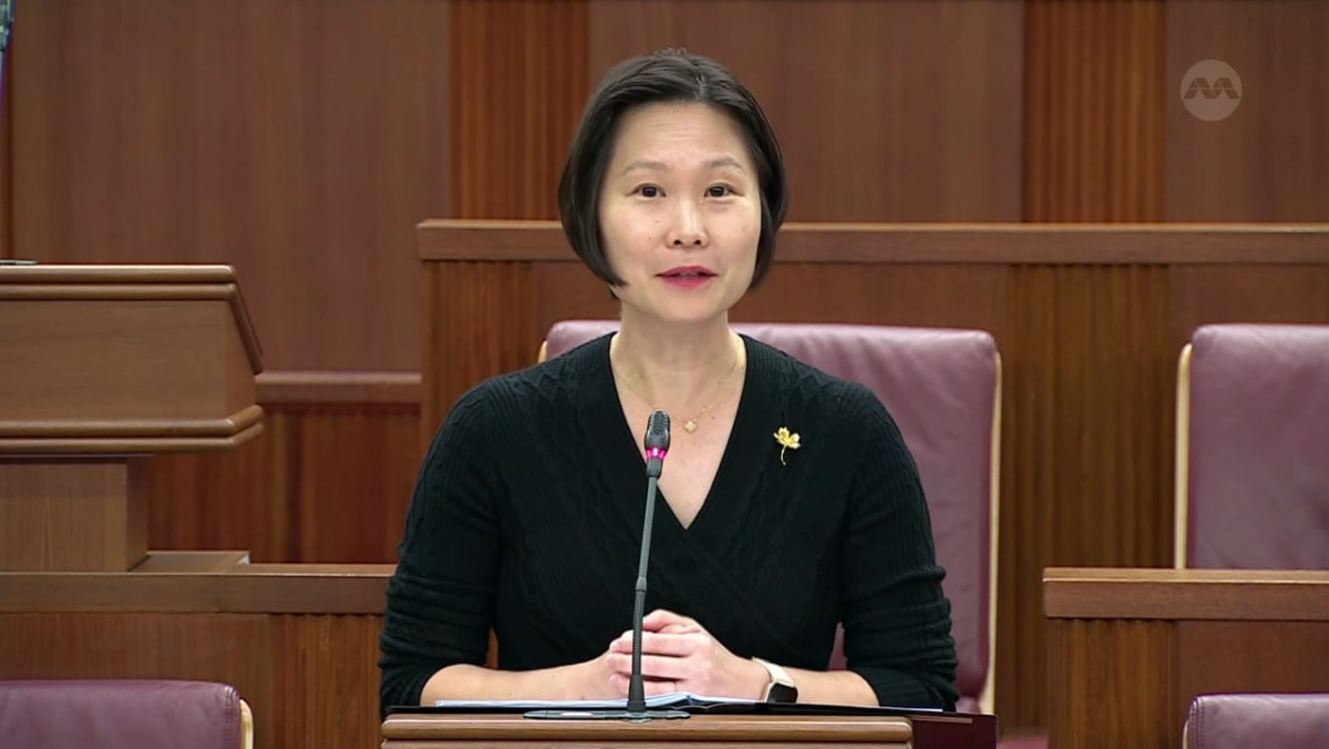 Gan Siow Huang on supporting healthcare - CNA