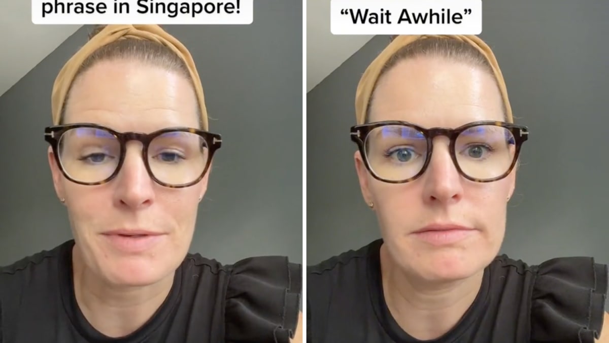 American expat in Singapore explains why she first found 'wait awhile ...