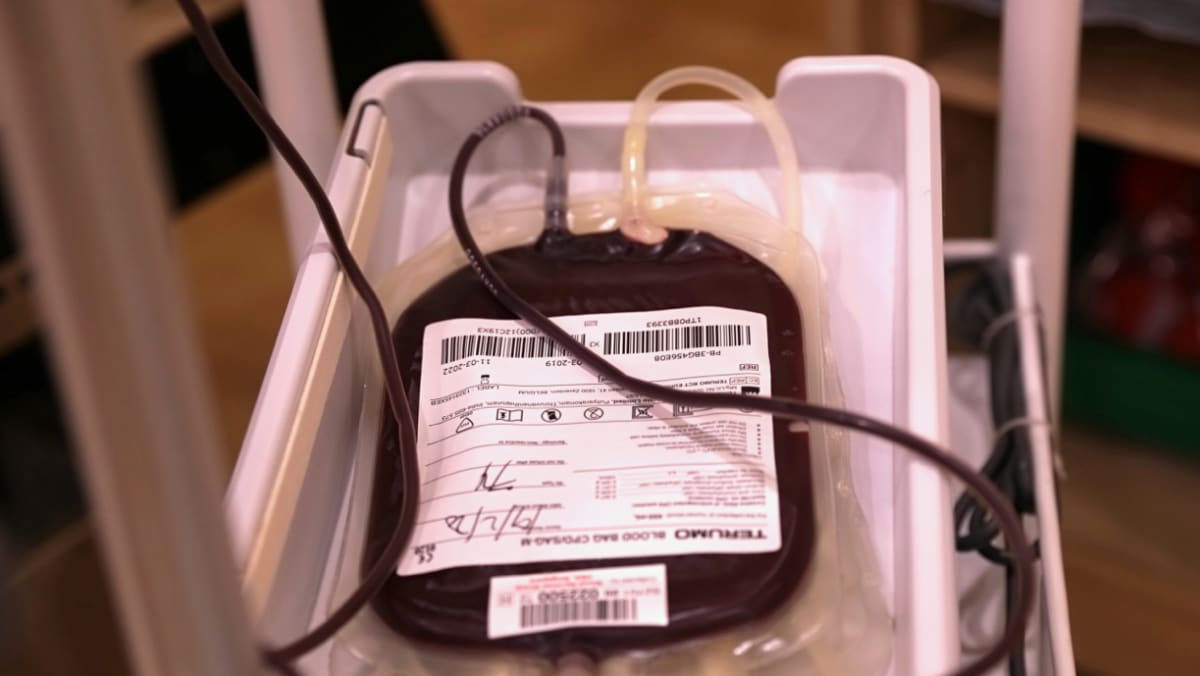 Singapore's type O blood stocks at critical levels; Red Cross, HSA urge ...