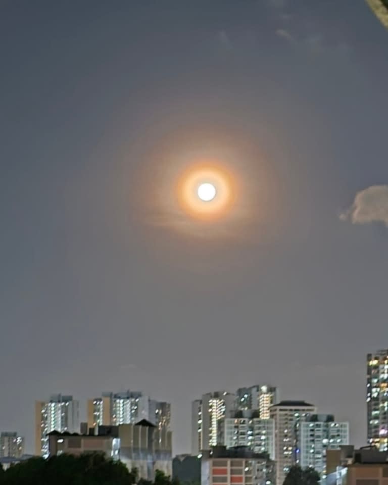 In pictures: Worm Moon illuminates the night sky - CNA