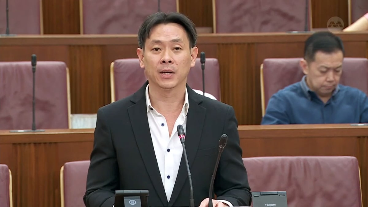 Louis Ng on Family Justice Reform Bill - CNA