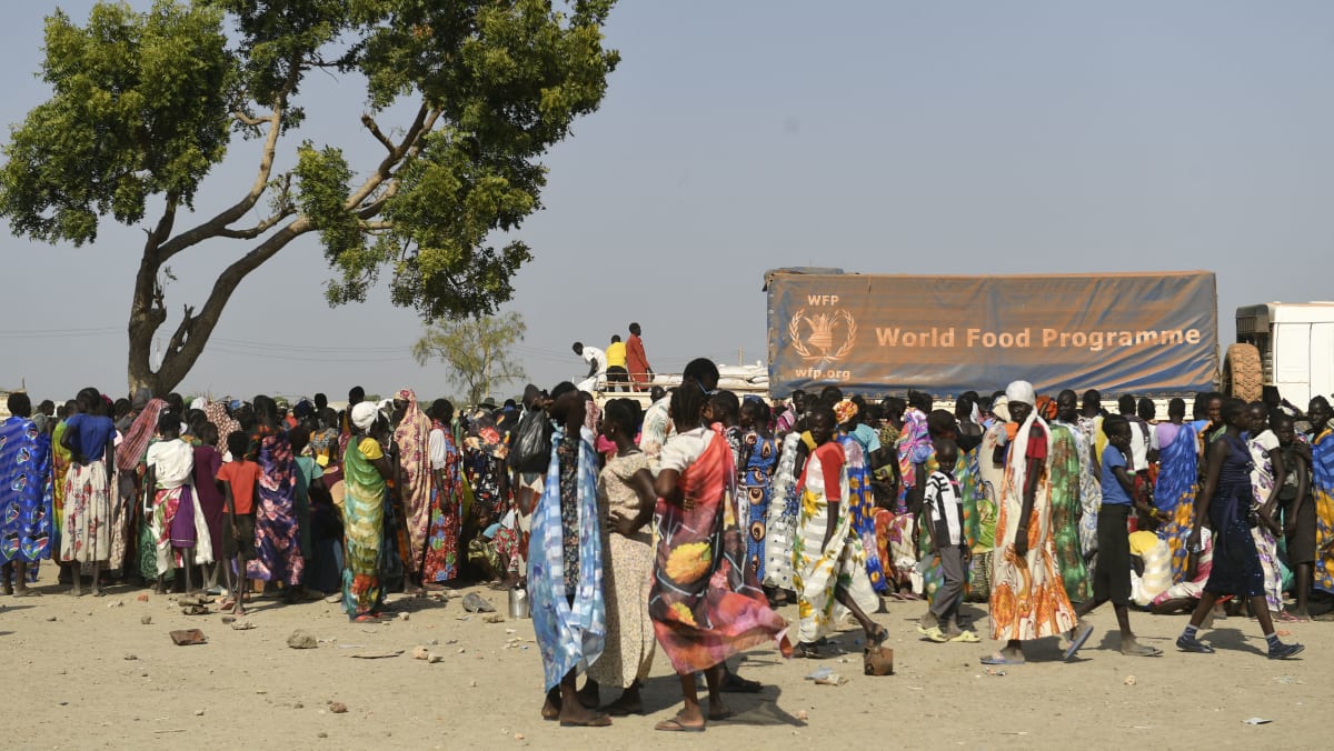 Program Makanan Sedunia siasat operasi pengagihan bantuan di Sudan ...