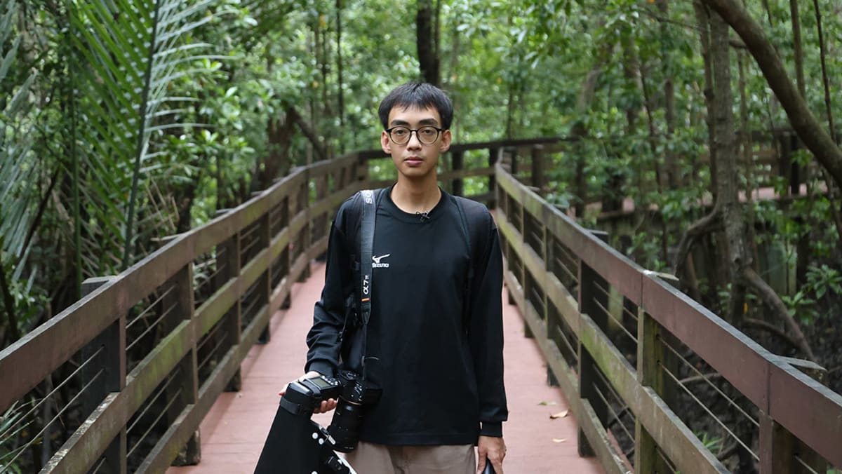 'The animal comes first': Wildlife photographers urge fellow hobbyists ...