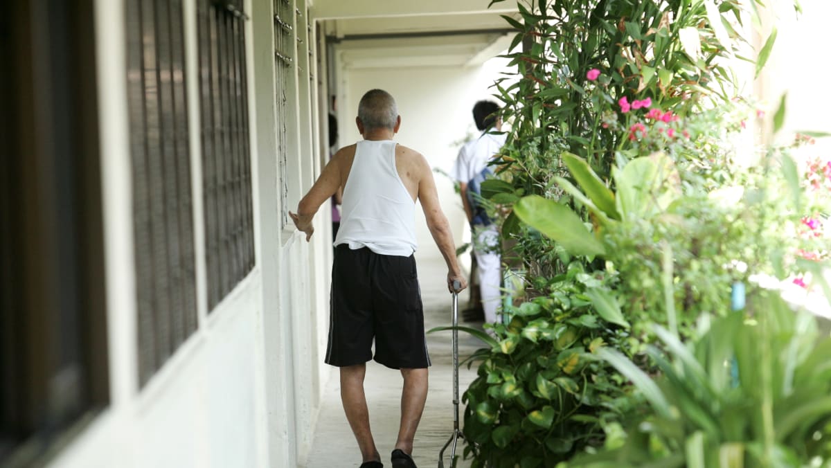 New programme to educate elderly on environmental issues - TODAY