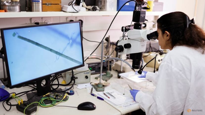Israeli scientists develop sniffing robot with locust antennae - CNA