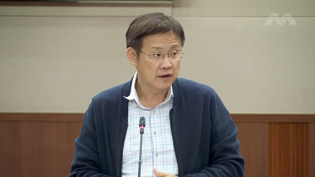 Gan Thiam Poh on Public Defenders Bill - CNA