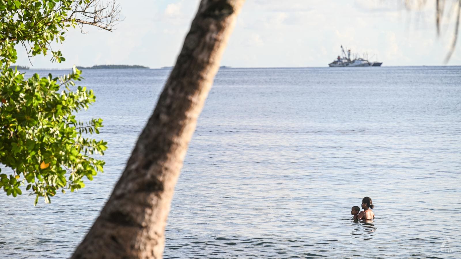 Fight or Flee: Tuvalu’s residents prepare for mass displacement as nation forecast to be among ...