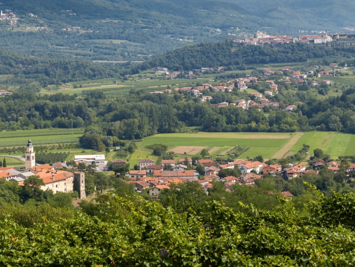 Not your usual European adventure: Paragliding in Slovenia’s Vipava ...