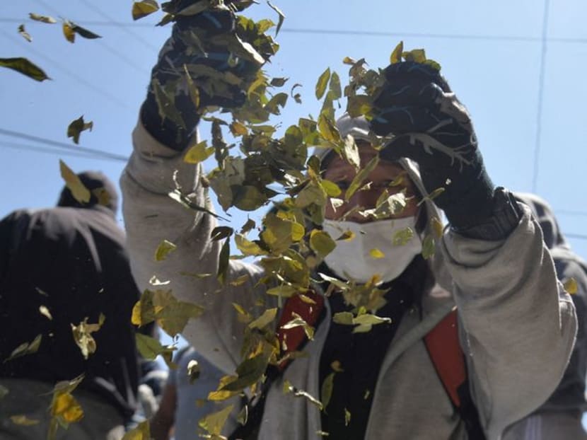 Coca chewing gets chic makeover with bubblegum flavor and TikTok fans ...