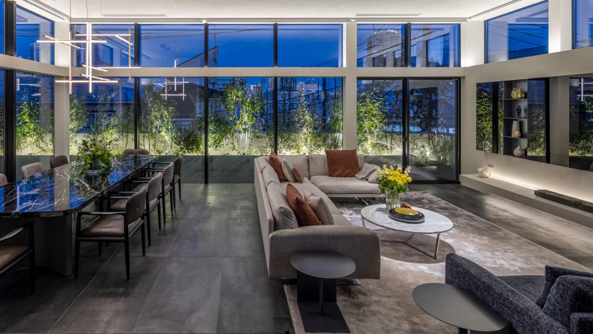 Luxury homes: Inside a spacious house in Tokyo, Japan