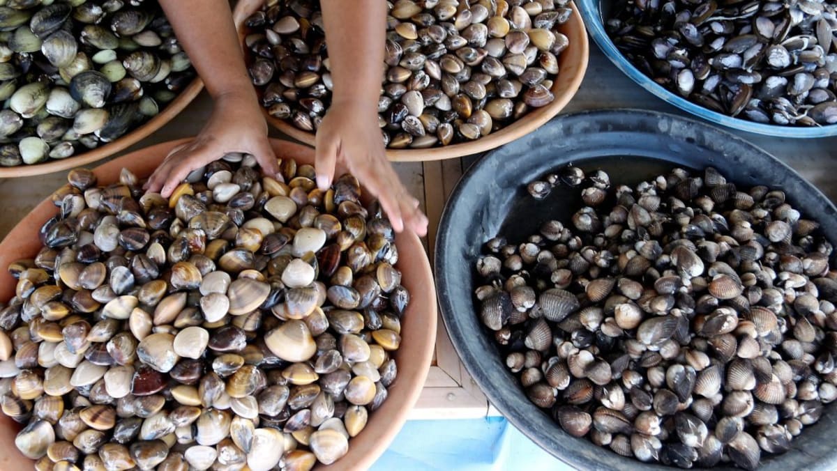 Red tide phenomenon expands to more areas in Sabah - TODAY